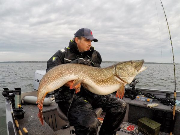 Grootste snoek Nederland